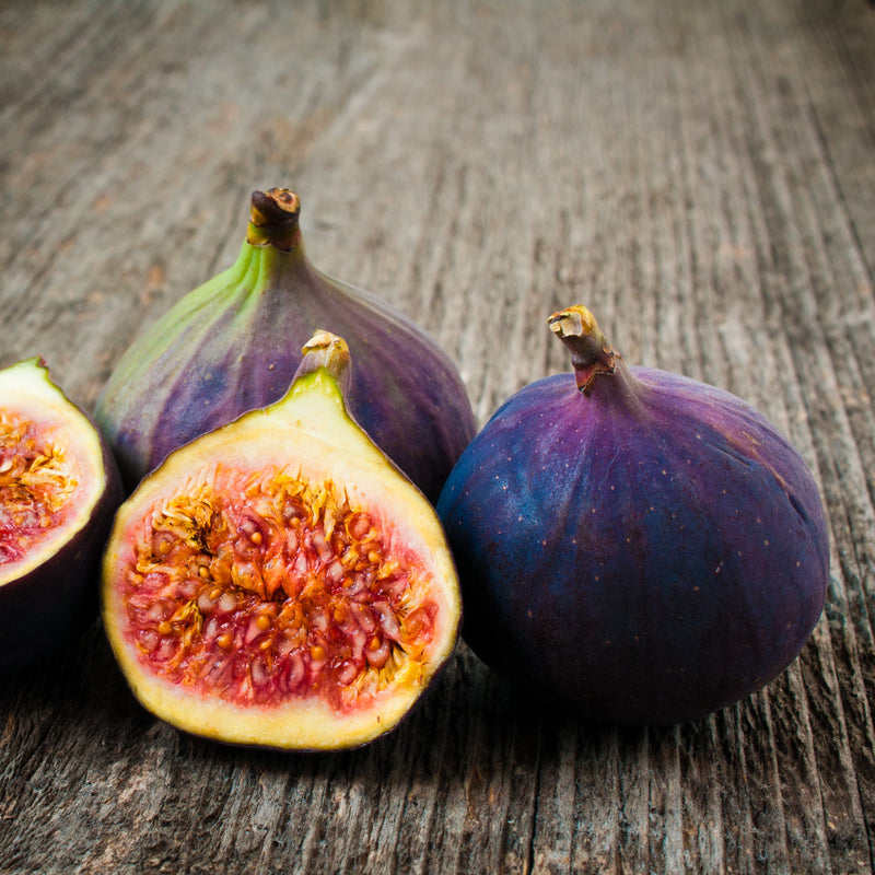 LSU Purple Fig Tree – Green Thumbs Garden