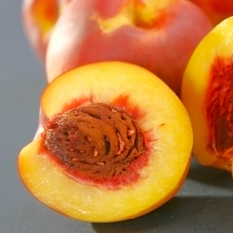 Redskin Peach Tree – Green Thumbs Garden
